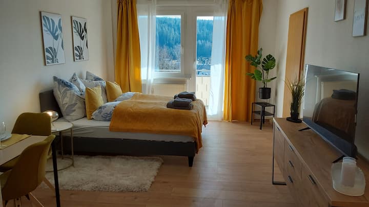 Goldiges Apartment In Bad Elster Mit Netflix - Adorf