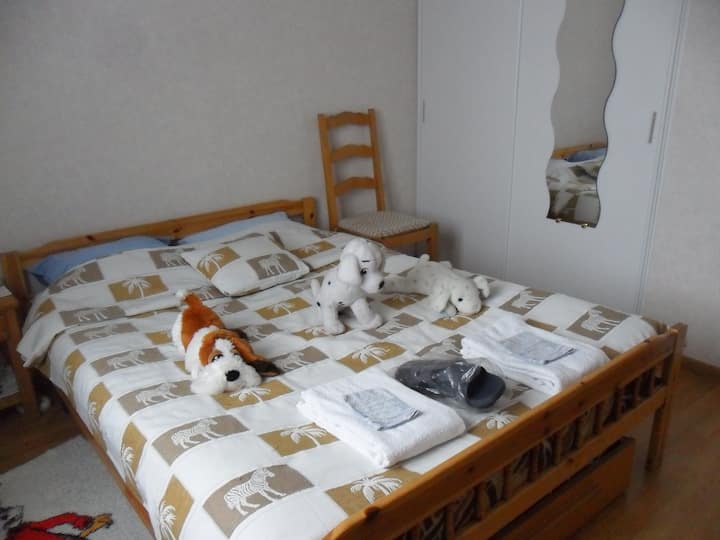 Chambre Chez L'habitant Proche Aéroport Cdg - Plailly