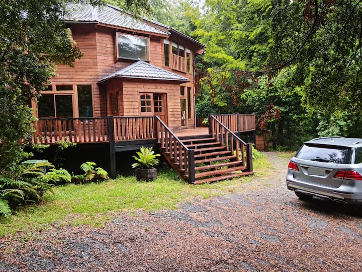 Huilohuilo San Avellano En Reserva Biologica - Chile