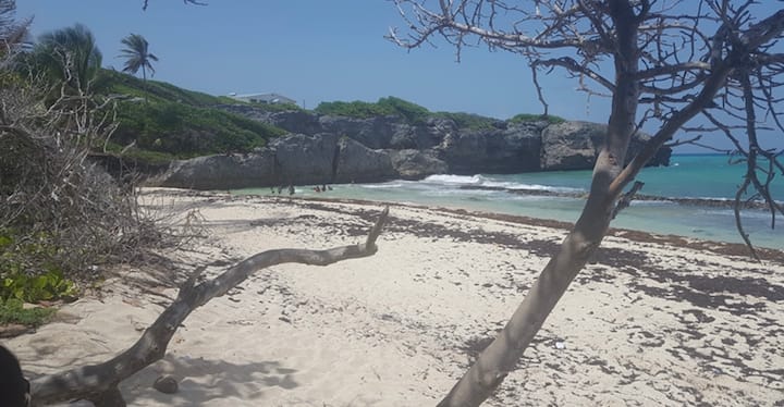 Salt Air -Sea Breeze.. New Build House - Barbados