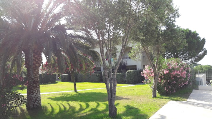T2- 05 - 4 Personnes - Saint-Florent
