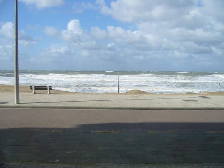 Idesbald: Ruim Appartement Met Frontaal Zeezicht - Koksijde