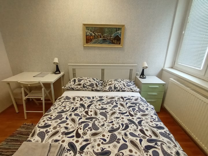 Vixi Room #7 In The Old Center - Ljubljana