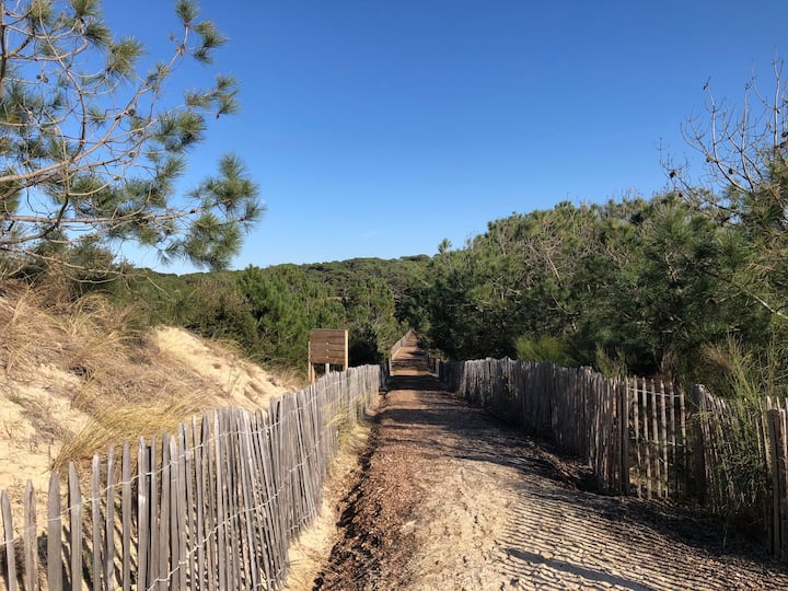 Maison De Vacances Dans La Pinède Canaulaise - Lacanau Océan