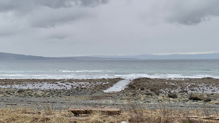 The Dacha! Waterfront Cabin On A Quiet Beach. - Hornby Island