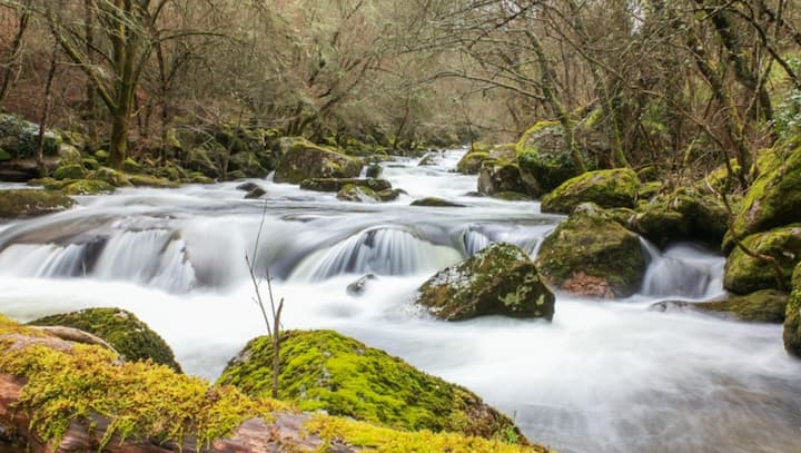 1 Bedroom Vintage Camper-van On The Country Side - Lamego