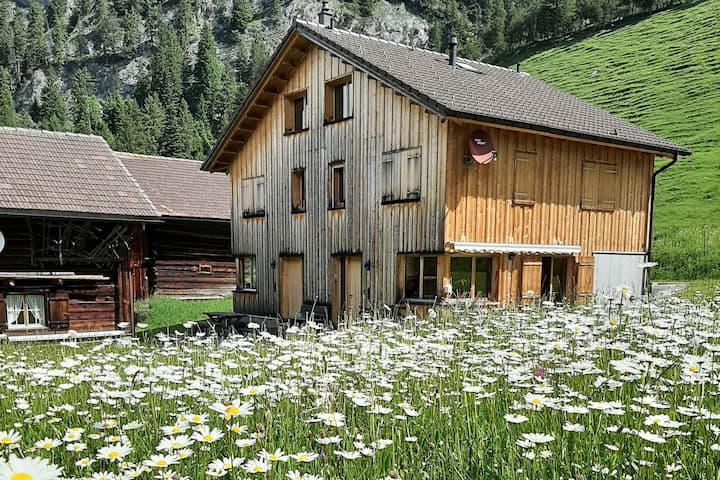 Gemütliches Chalet An Schönster Lage Im Steg (Fl) - Sevelen