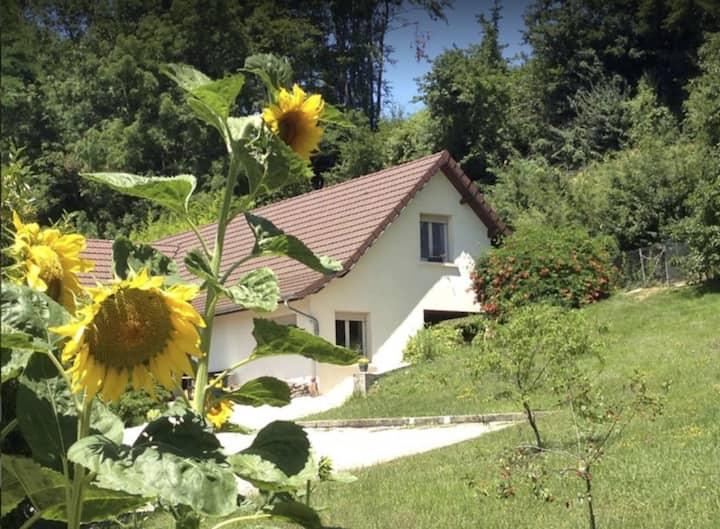Gîte Les Isles Entre Rivière Et Vignoble - Poligny