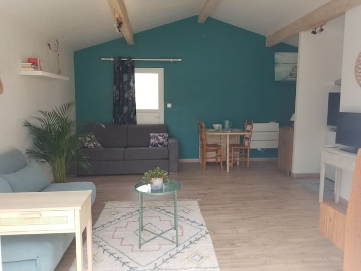 Charmant Studio Neuf - Espelette