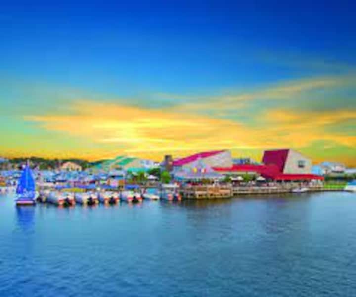 Beachside 2br 1.5ba Surf,  Seacrets, Golf, Fishing - フェンウィック・アイランド, DE