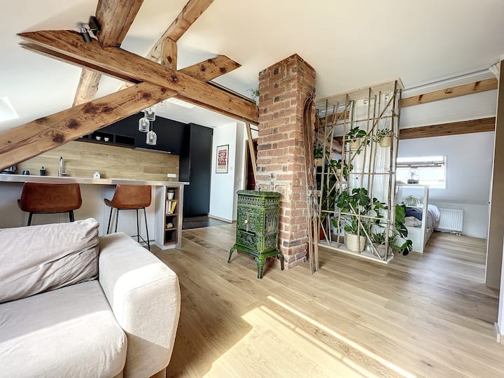 Erckmann 14 – Bel Appartement Centre Colmar Gare - Colmar