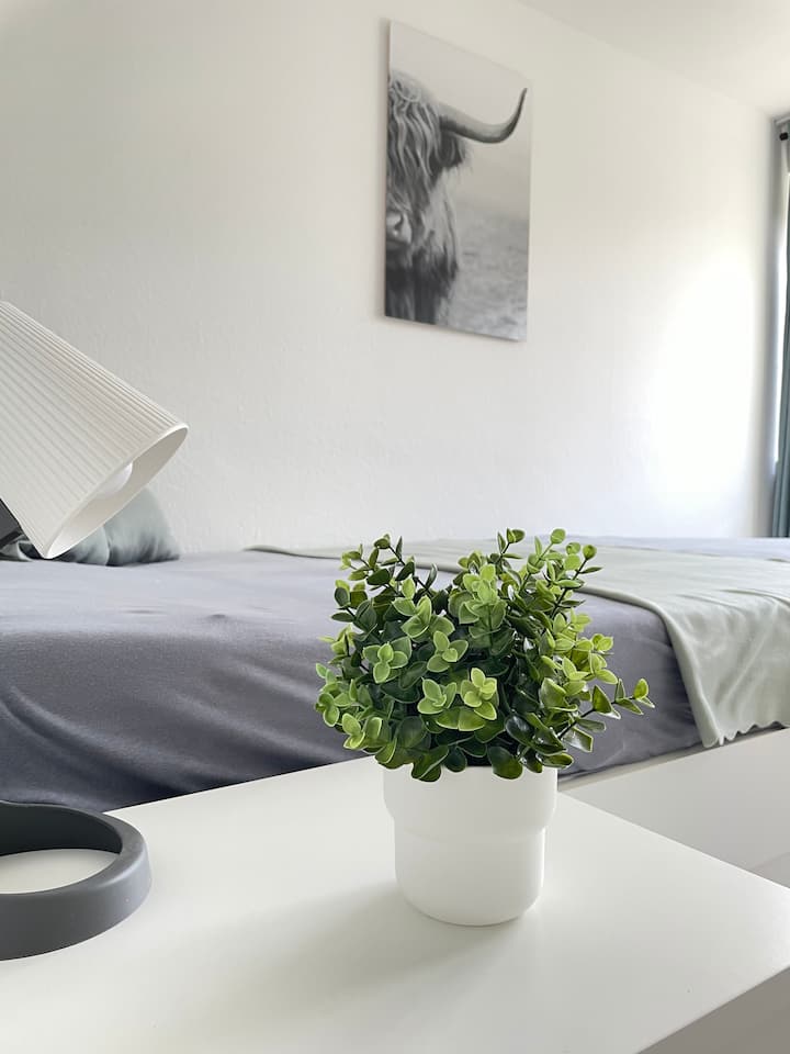 Schöne Wohnung An Der Hochschule Niederrhein - Mönchengladbach