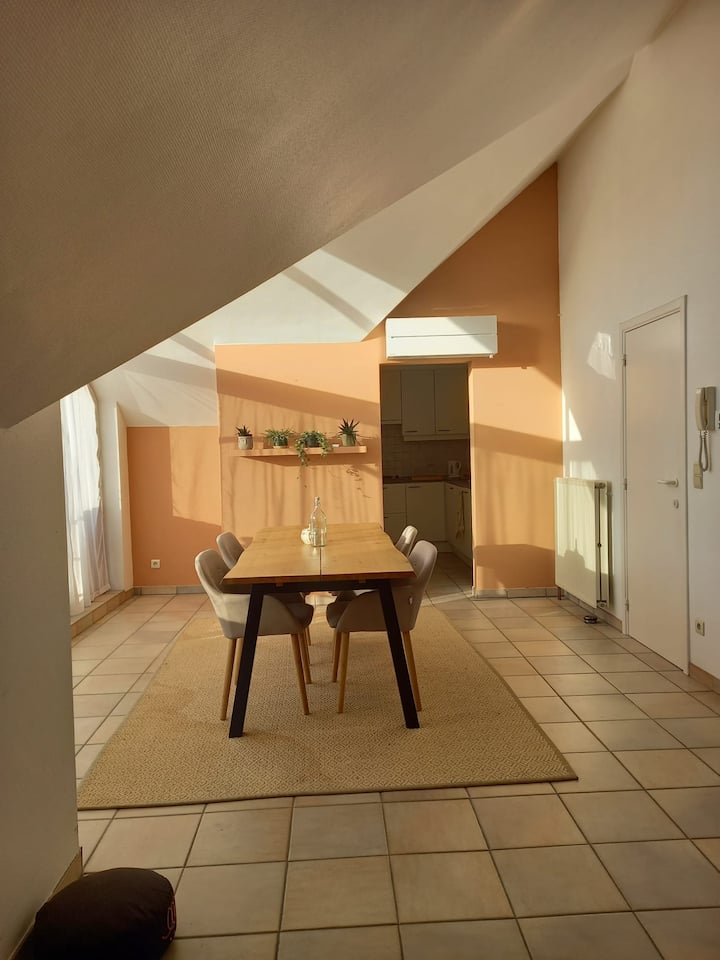 Gezellig Appartement Met Ruim Terras Centrum Geel - Herentals