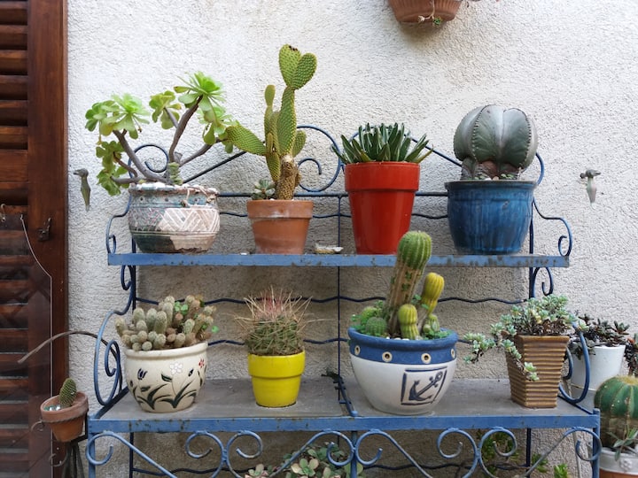 La Cour De La Vieil Antibes - Antibes