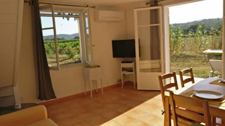 Les Vignes Et La Pinede Pres De La Mer - Ramatuelle
