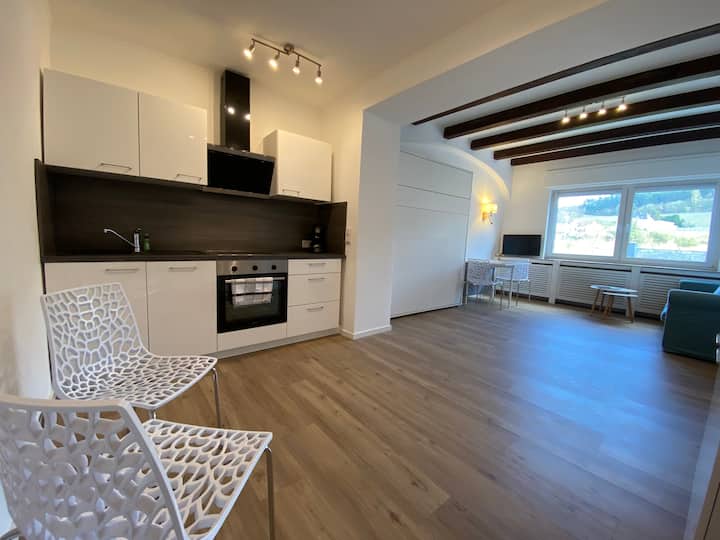 High Standing Fully Furnished Studio Apartment - Luxembourg