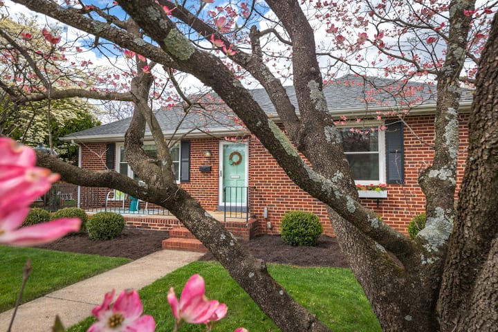 *The Cozy Rosedale* A Northside Charmer - Richmond, VA