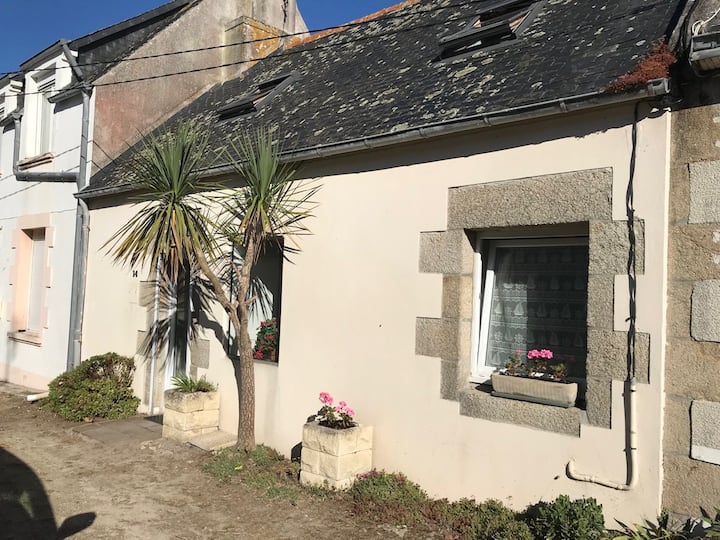 Maison De Ville Pour Location Saisonnière - Lesconil