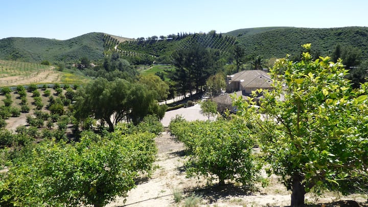 Cute Cottage In Organic Lemon And Avocado Orchard - Ventura County, CA