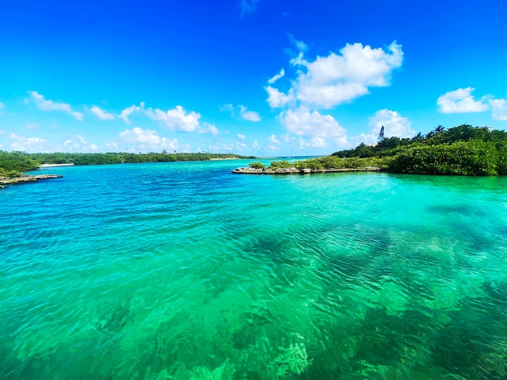 Penthouse Walk To Sea, Cenote & Lagoon 2db2ba - Akumal