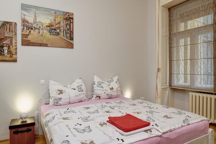 City And Calmness In Budapest! - Budapest