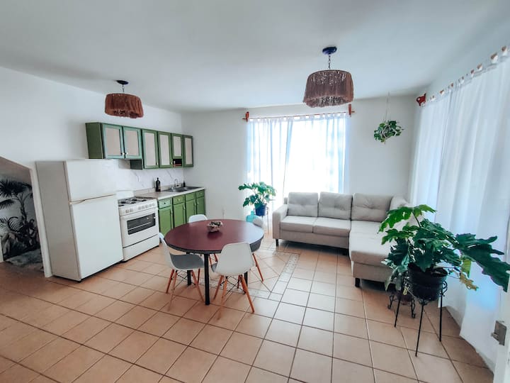 Bright And Beautiful Apt With Garden In Downtown - Oaxaca