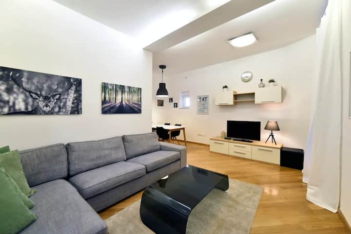 Specious 2-bedroom Apartment In The Strict Center - Zagreb