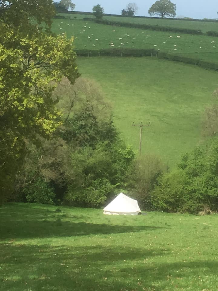 Pitch For Tent By Stream Or Under Trees - Monmouth