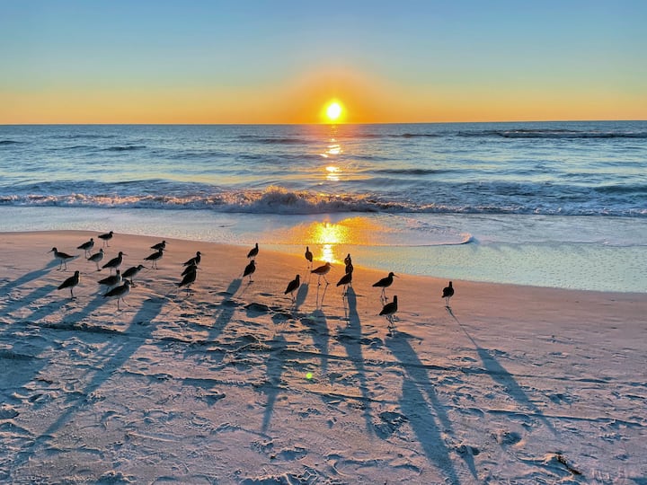 Serene 2 Bedroom Condo In Shorewalk Resort - Bradenton, FL