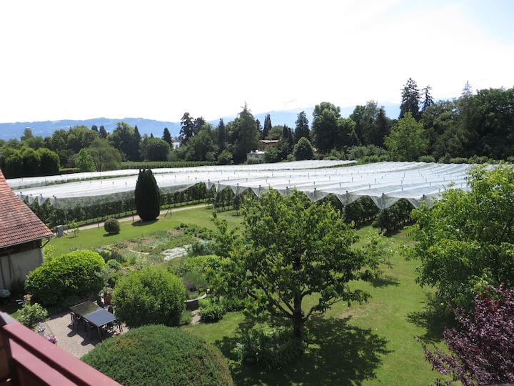 Schöne Ferienwohnung Mit Berg- Und Seesicht - Lindau (Bodensee)