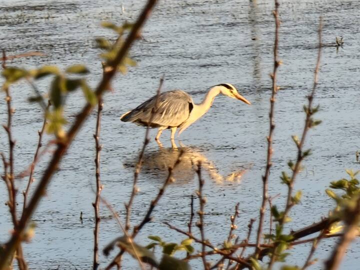 Cahore Point Vacation Rentals & Homes - County Wexford, Ireland | Airbnb