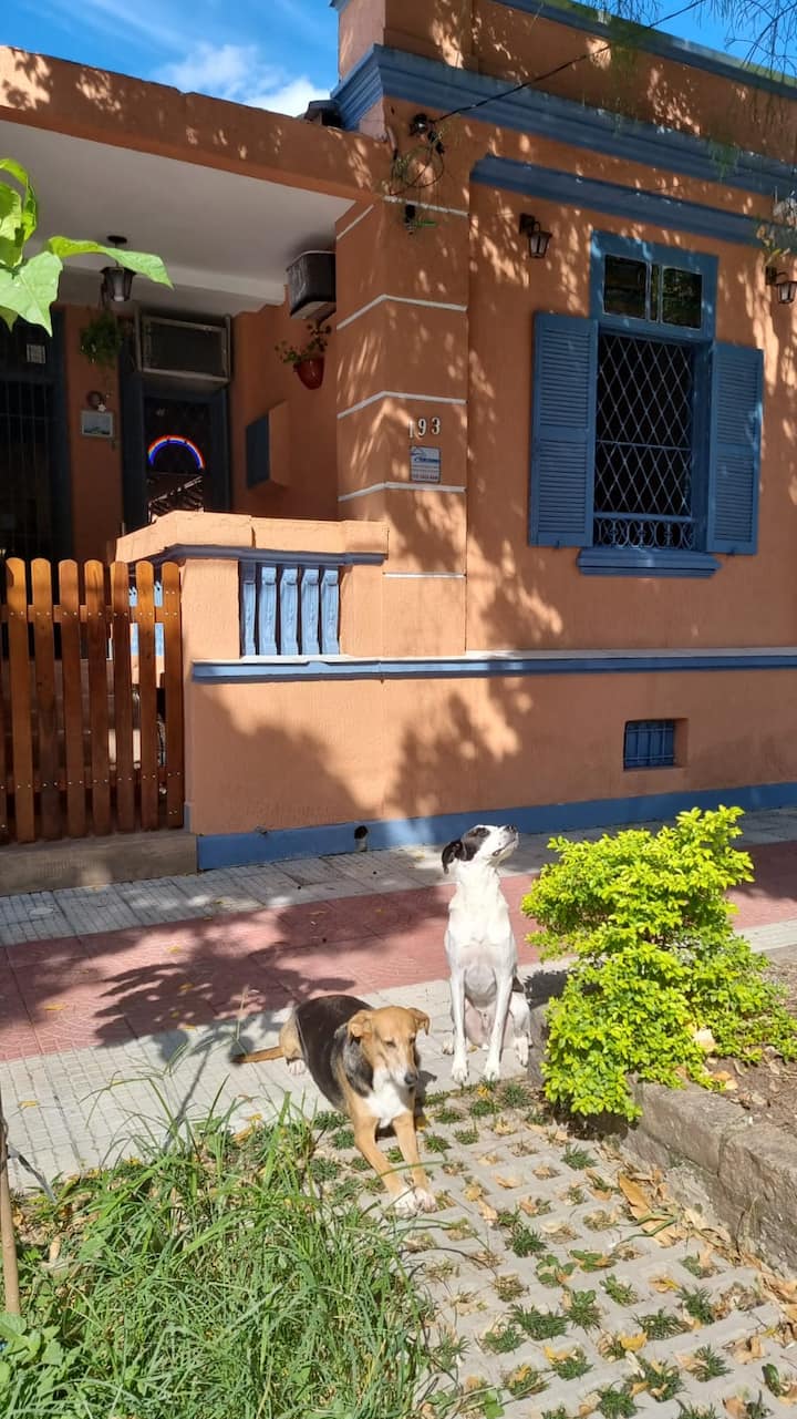 Hostel El Caminito | Lgbtqia+ Community - Santos State