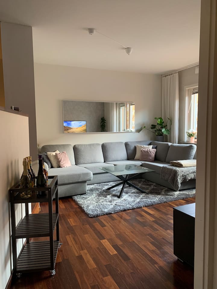 Fin Lägenhet Centralt I ÖRebro - Örebro