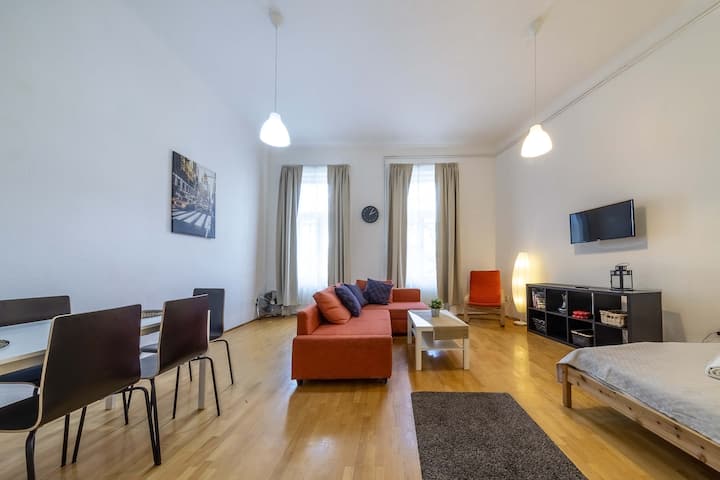 Ergola - Spacious Cozy 2 Big Rooms Downtown Home - Budapest