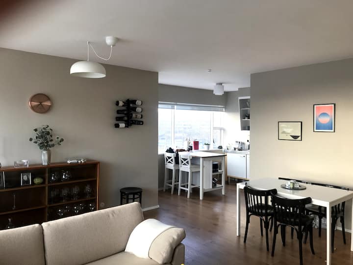 Lovely 1-bedroom Apartment 10 Min Walk From Centre - Reykjavik