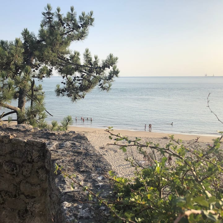 Maison Très Agréable Proche Des Plages Et Forêt - Meschers-sur-Gironde