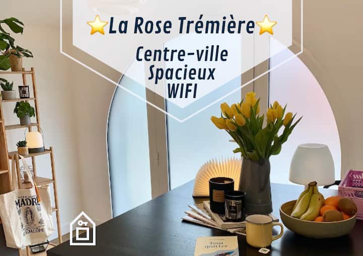 La Rose Trémière, Spacieux, Parking - Parentis-en-Born