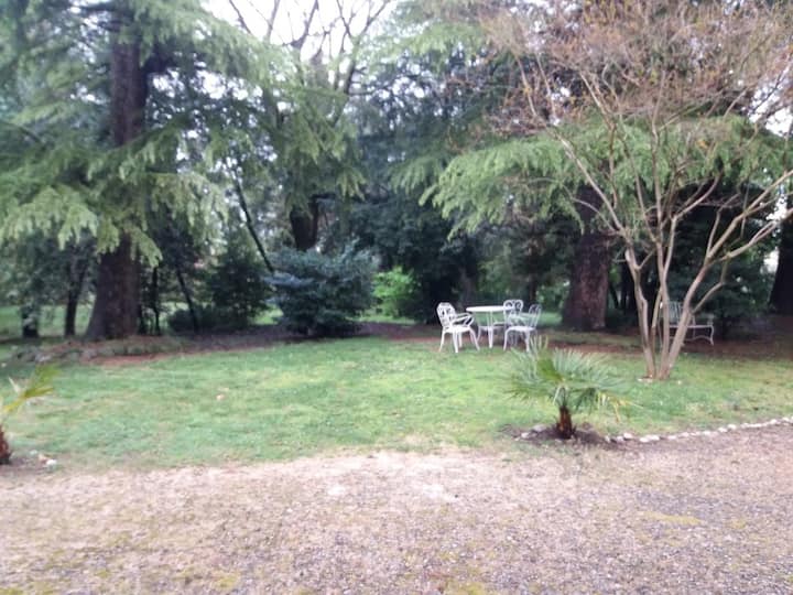Casa Della Ludo 
Bed & Breakfast
Come A Casa - Sassuolo