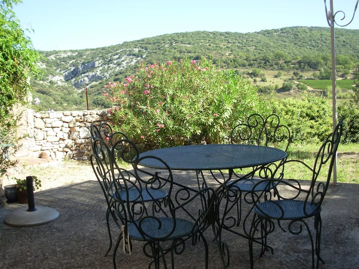 Maison Vigneronne Avec Une Belle Vue - Saint-Guilhem-le-Désert