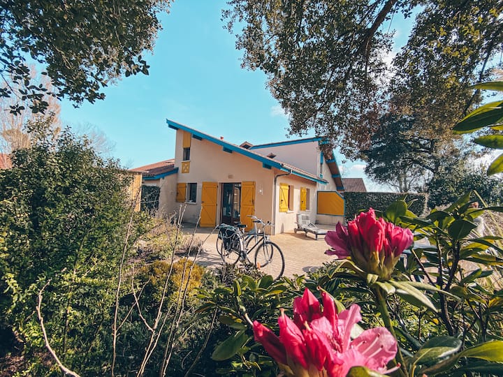 Duplex - 49 M² - Contis-Plage
