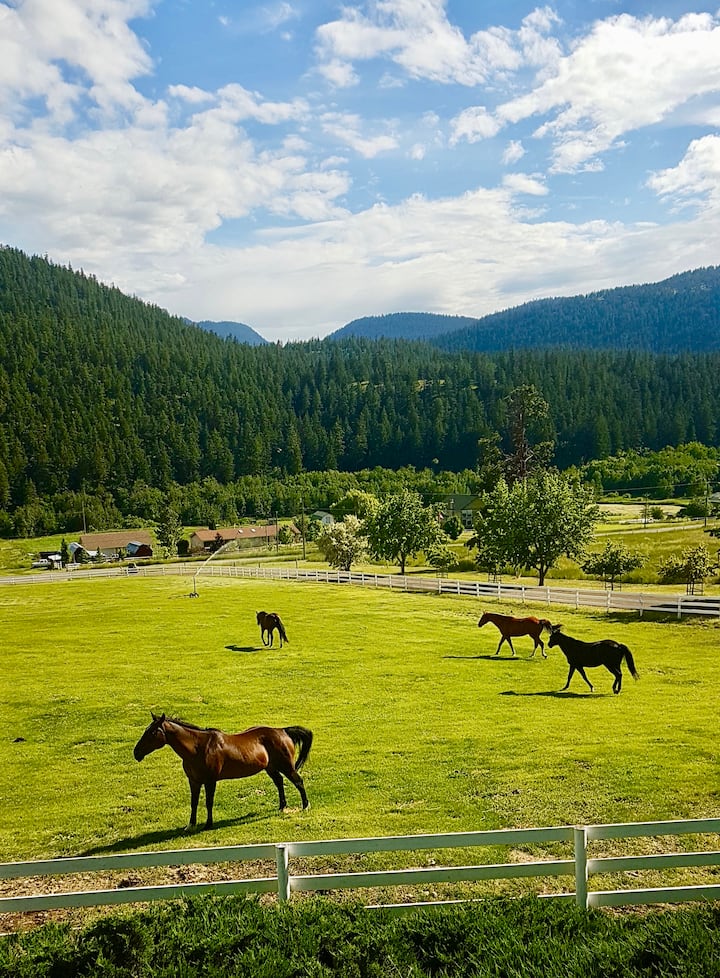 Top 4 Ranches To Stay In Kamloops, Canada | Trip101