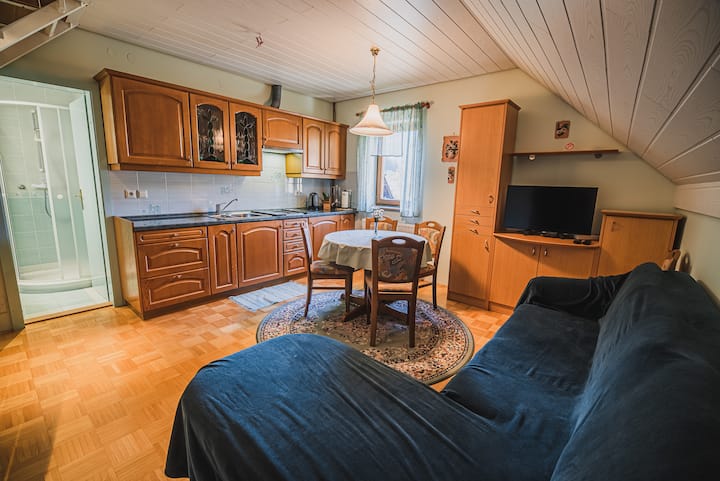 Homestay Kocka The Green Apartment - Zgornje Jezersko