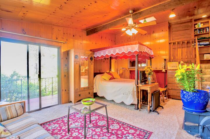 Peaceful Studio With View Near Town - Grass Valley, CA
