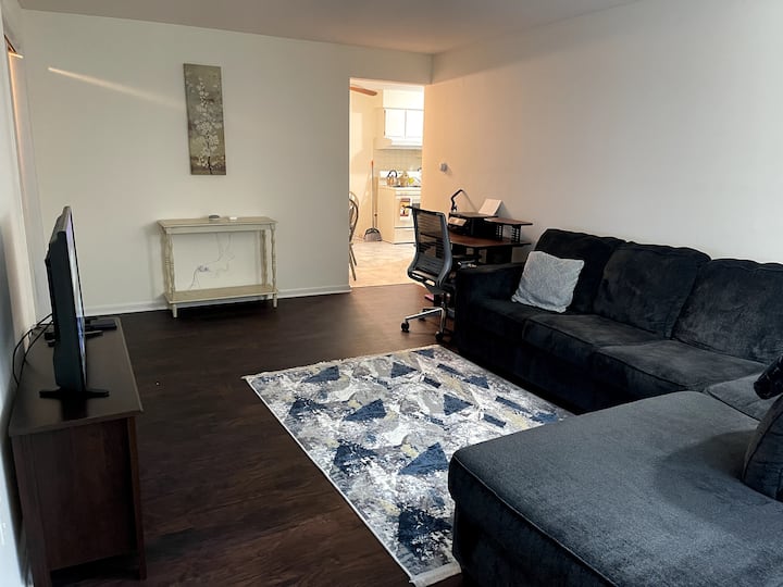 Jumbo 1 Bedroom Condo With Free Parking And More! - Chicago O'Hare Airport (ORD)