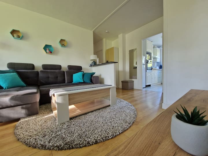 Superbe Appartement Au Calme Avec Balcon - Saint-Brice-sous-Forêt