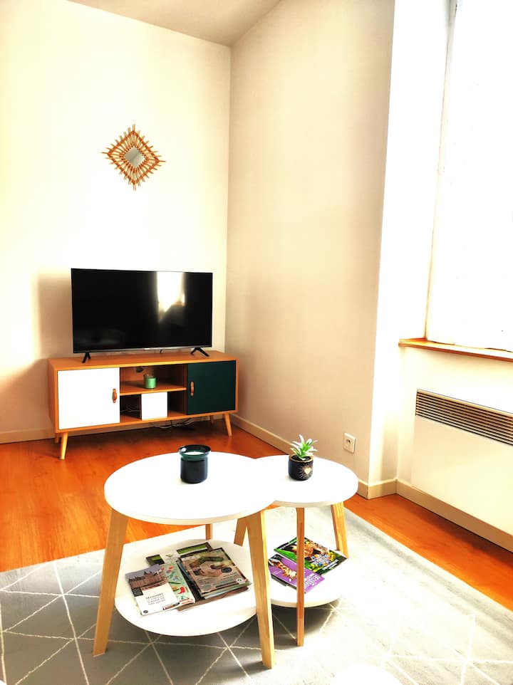 Le "3plex" * Coeur De Vertou * Original 2 Pièces - Vertou