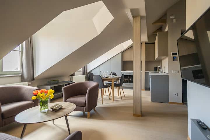 Dviejų Miegamųjų Apartamentai Palėpėje - Vilna