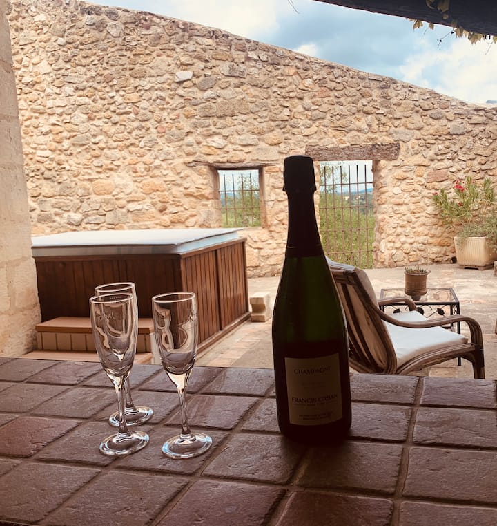 Villa Provençale-piscine-vue Lubéron Et Alpilles- - Salon-de-Provence