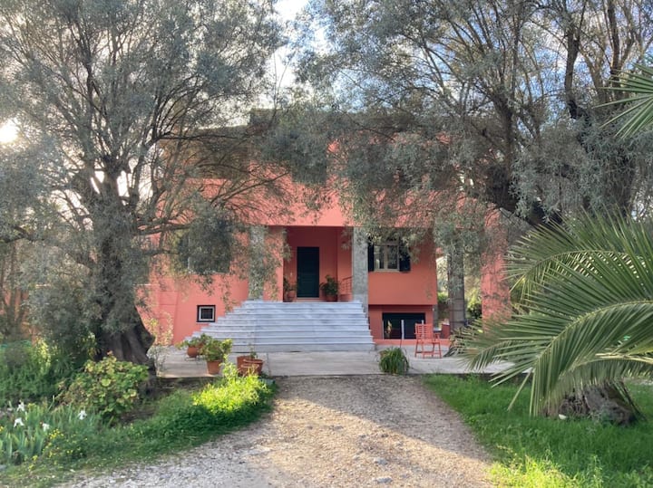 Olive Garden - Lefkada