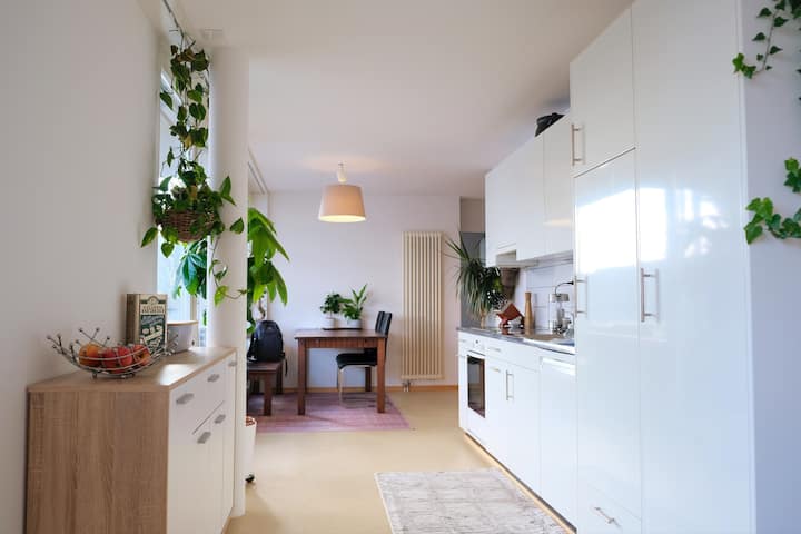 Wohnung Zwischen Zürich Stadtzentrum Und Flughafen - Zürich